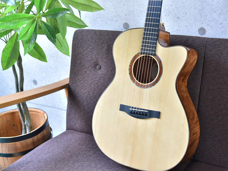 HOC-NORTHBIRD (Headway) まるやまたつや監修モデル アコースティックギター